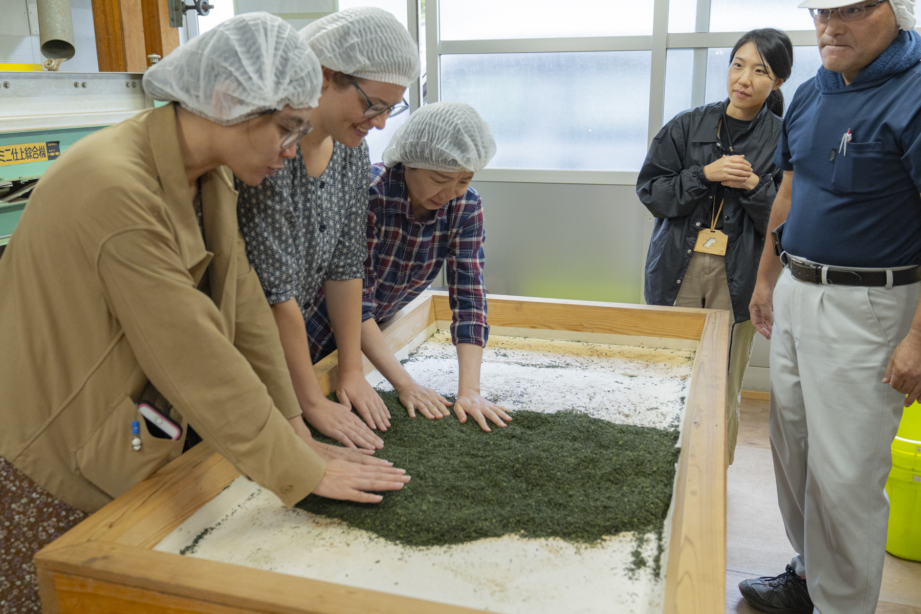 Tea-making experience with tea plantation tour | ThoughINAKA